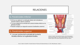TEMA 20 ANATOMIA Y FISIOLOGIA DE GLANDULA TIROIDES Y PARATIROIDES 2020.pptx