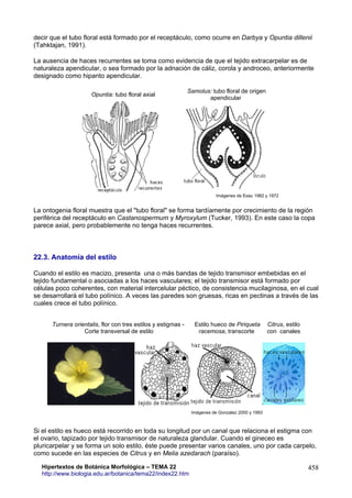 Tema22 Anatomía floral. -Hipertextos de Botánica Morfológica www ...