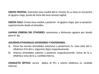 TEMA 22 Anatomia de la base del craneo.pptx