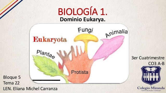 Dominio Eukarya
