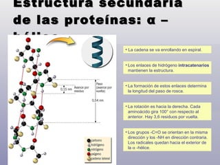 Proteínas | PPT
