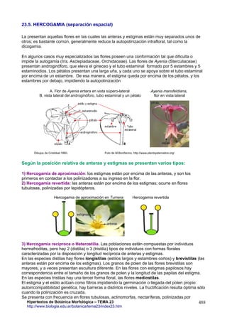 Tema23- Macrosporogénesis y macrogametogénesis. Hipertextos de Botánica ...