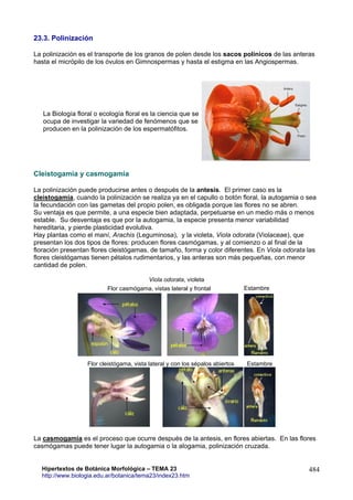 Tema23- Macrosporogénesis y macrogametogénesis. Hipertextos de Botánica ...