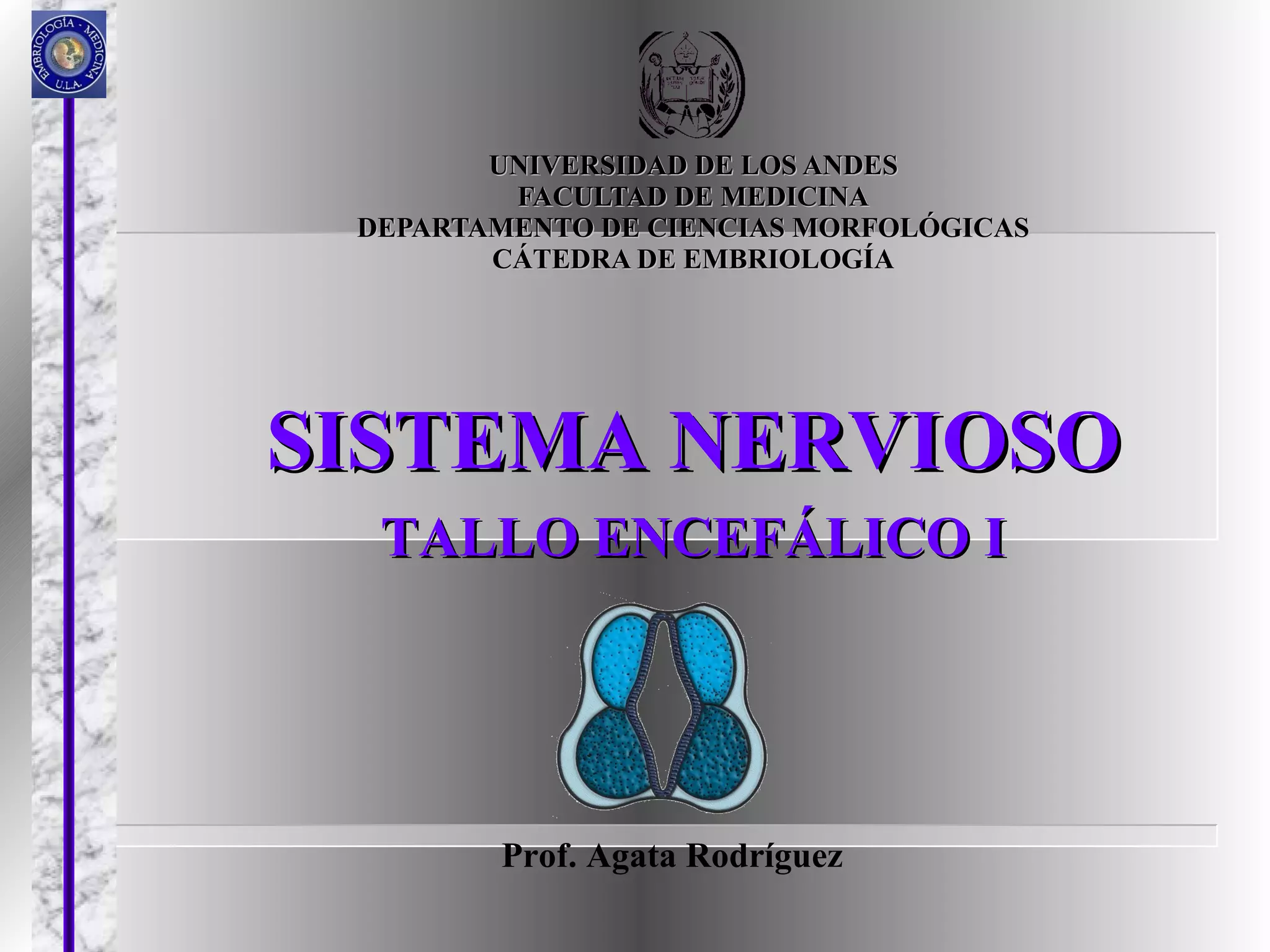 Tema 25-26 SISTEMA NERVIOSO MÉDULA ESPINAL. MENINGES | PPT