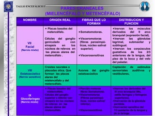 Tema 27 SISTEMA NERVIOSO TALLO ENCEFÁLICO II | PPT