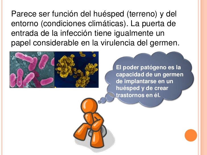 Tema28 Estructura Y Propiedades De Algunos Agentes Infecciosos