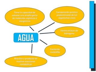 AGUA Y ELECTROLITOS | PDF