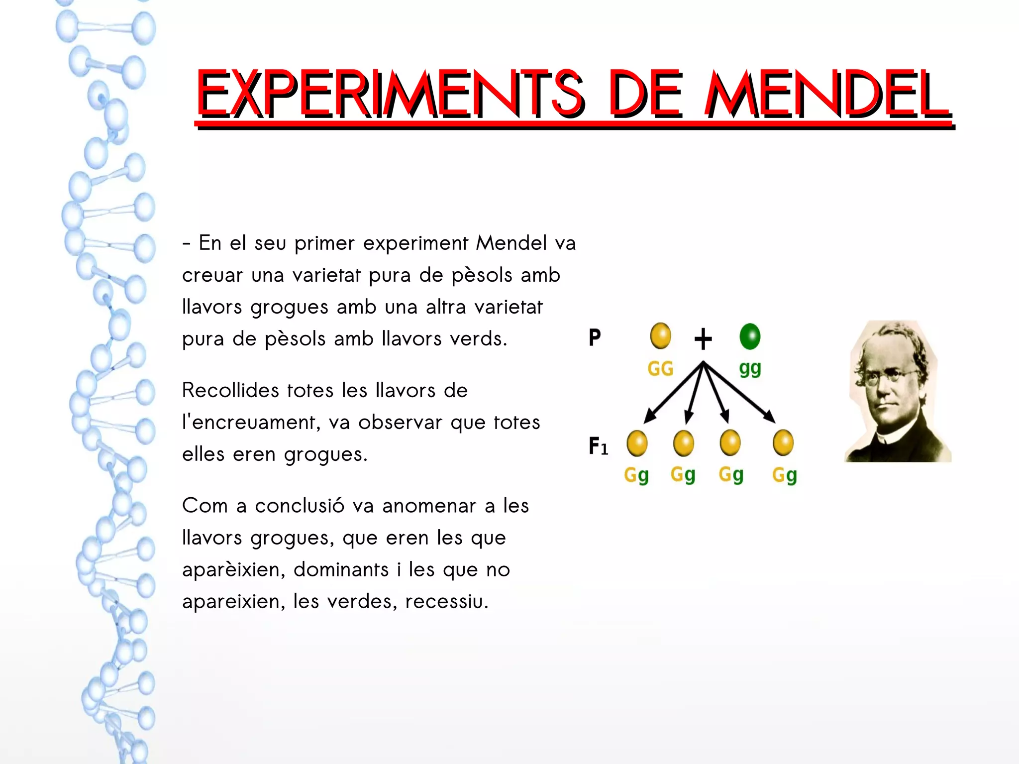 Tema 2 biologia | PDF