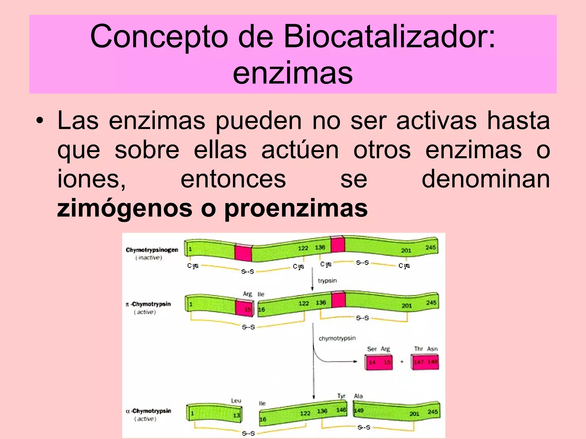 Tema 2 biomoléculas orgánicas biocatalizadores | PPT