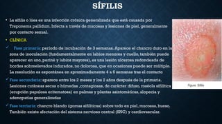TEMA 2 DE SALUD Y ENFERMEDAD en la facultad | PPTX