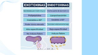 Tema 2 ecológico de los microorganismos _20250511_174421_0000.pdf