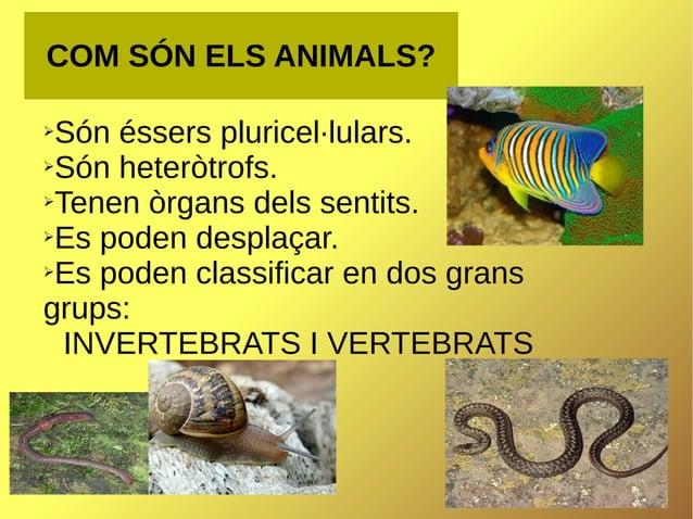 Tema 2 els animals | ODP