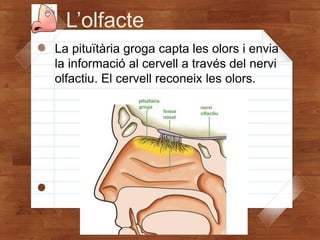 Tema 2, ens relacionem | PPT