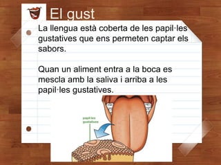 Tema 2, ens relacionem | PPT