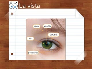 Tema 2, ens relacionem | PPT