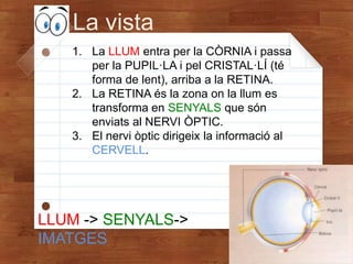 Tema 2, ens relacionem | PPT