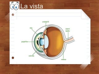 Tema 2, ens relacionem | PPT
