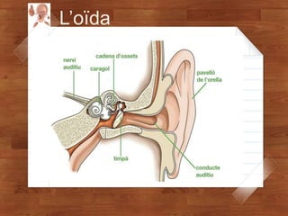 Tema 2, ens relacionem | PPT