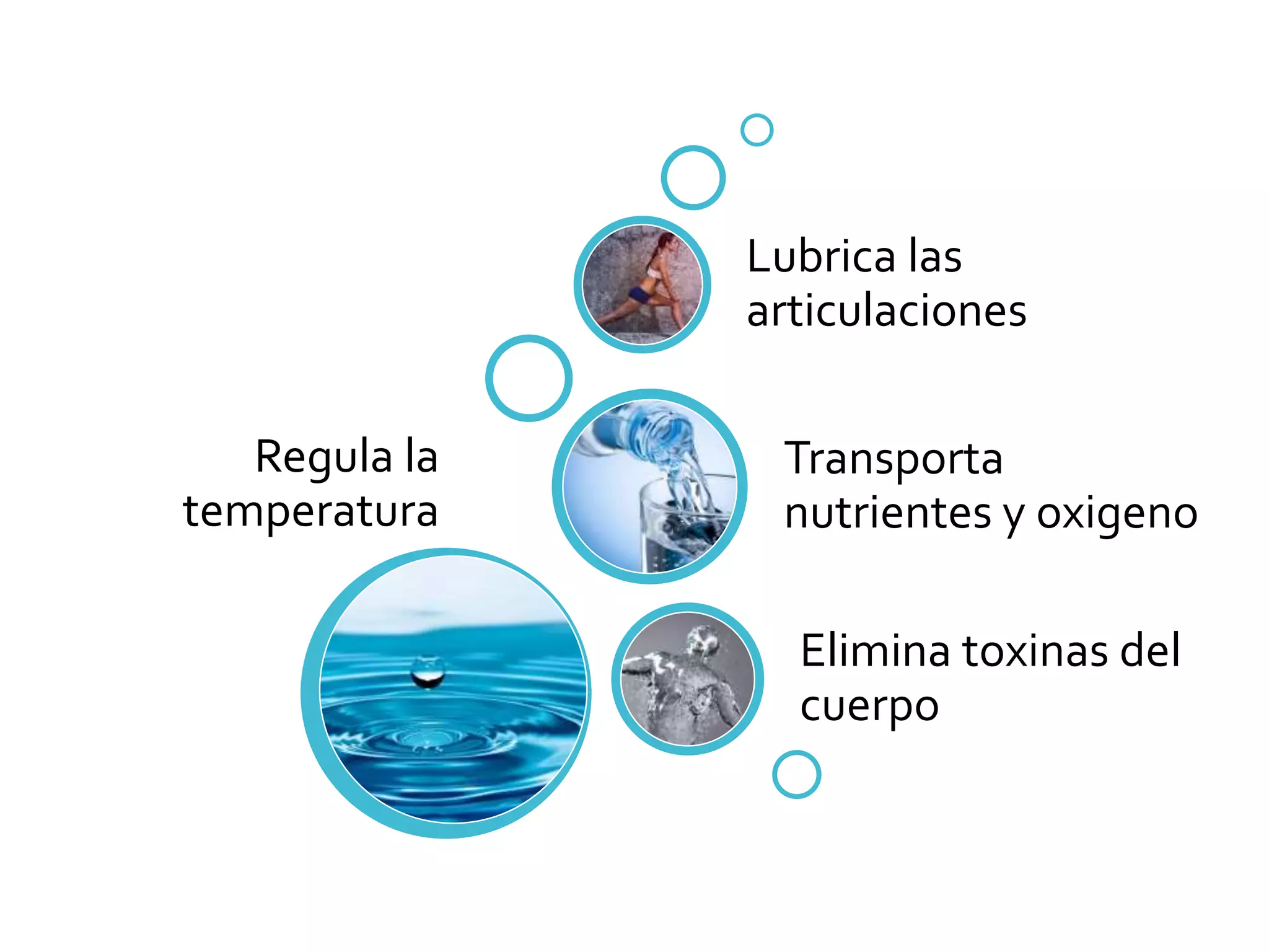Tema 2 equilibrio electrolitico | PPT