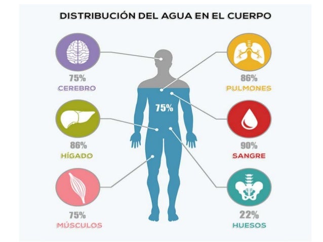 Tema 2 equilibrio electrolitico