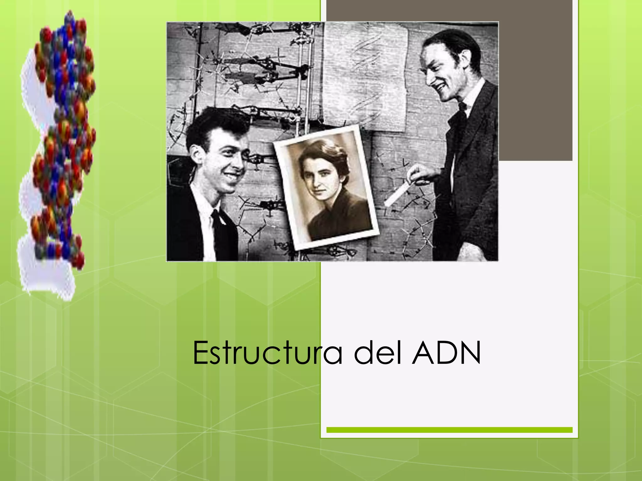 Tema 2 estructura del adn | PPTX