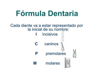 Formula Dental | PPTX