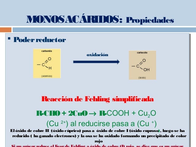 Que Es El Poder Reductor De Los Monosacaridos - Citas Para Adultos En Rioja