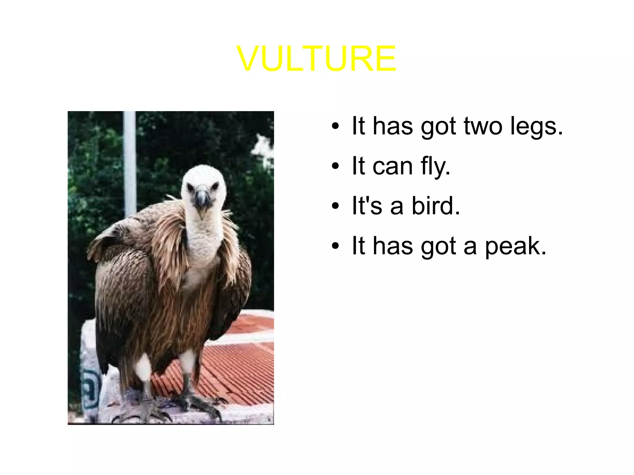 Tema 2 inglés alba muñoz | ODP