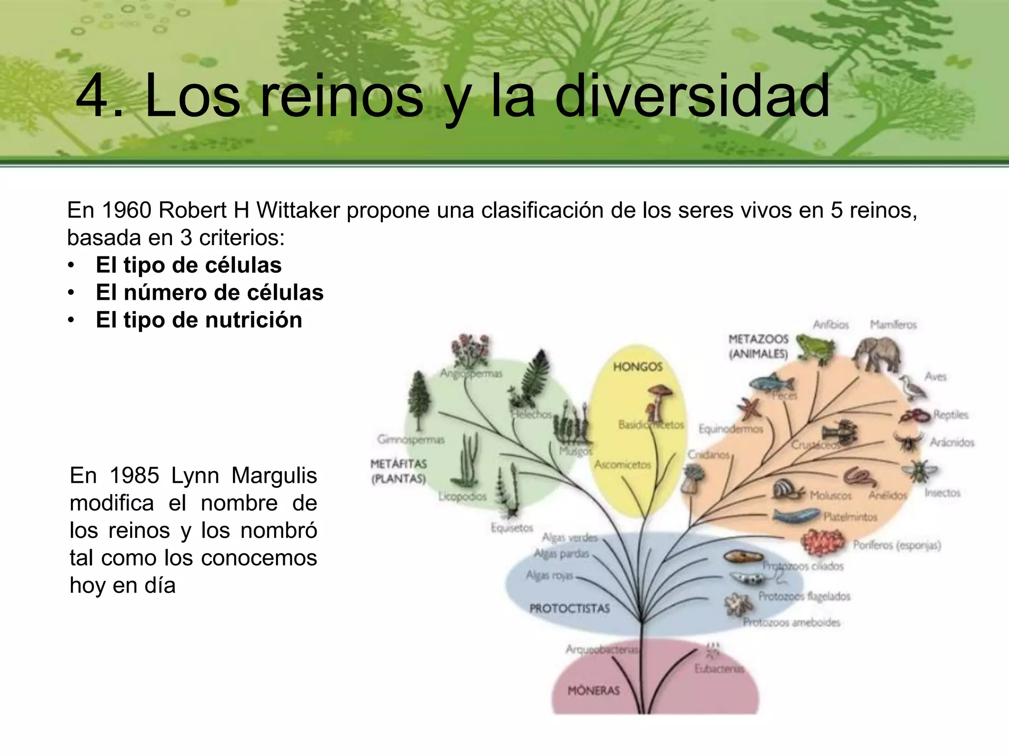 Tema2 la clasificacion de los seres vivos | PPTX