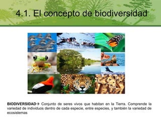 Tema2 la clasificacion de los seres vivos | PPTX