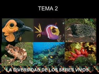 Tema 2 la diversidad de los seres vivos | PPT