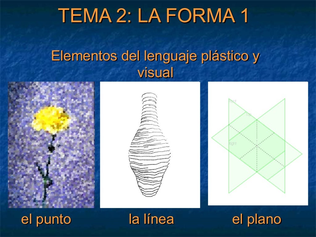 Tema 2: La forma