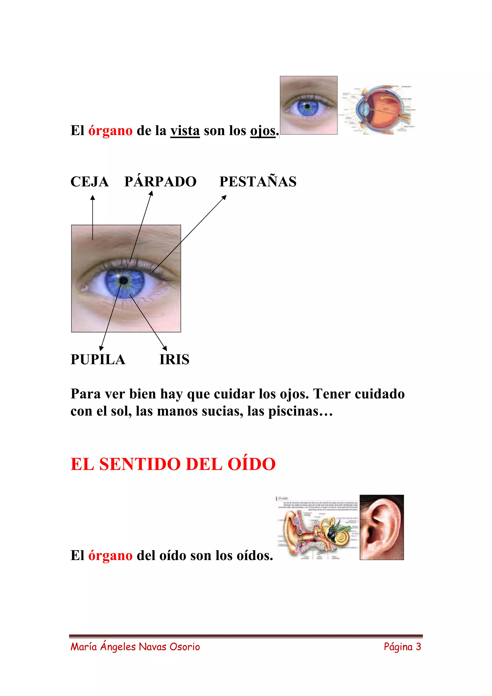 Tema2 los sentidos 3ºp | PDF