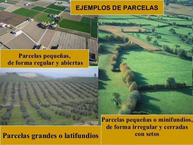 Tema 2 el Sector primario