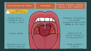OTORRINOLARINGOLOGIA Patología faríngea.pptx