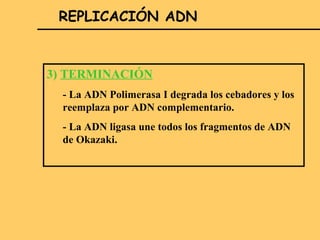 Tema 2 replicación del adn | PPT