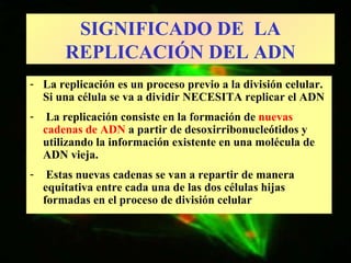 Tema 2 replicación del adn | PPT