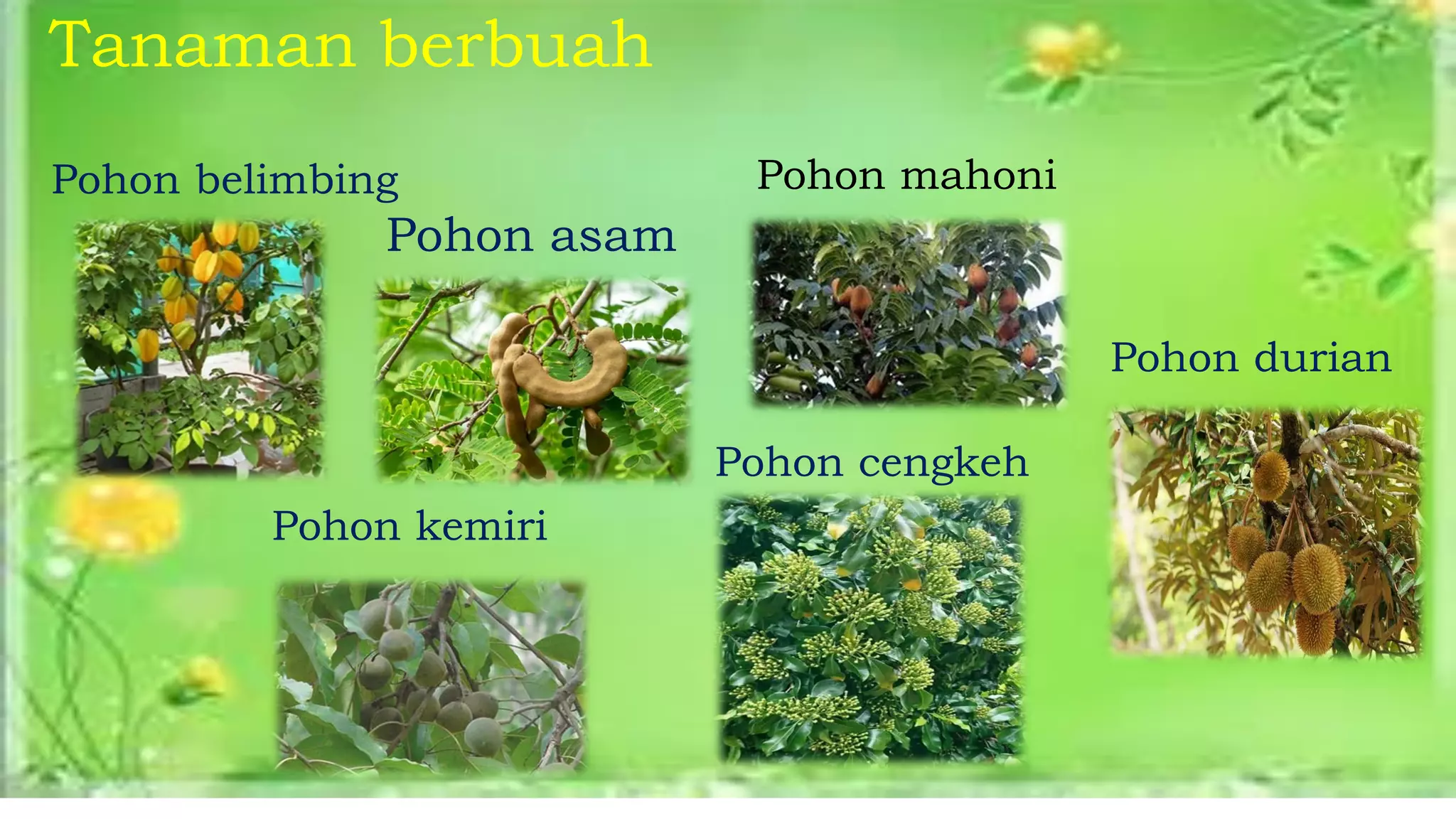 Tanaman berbuah dan tidak berbuah | PDF