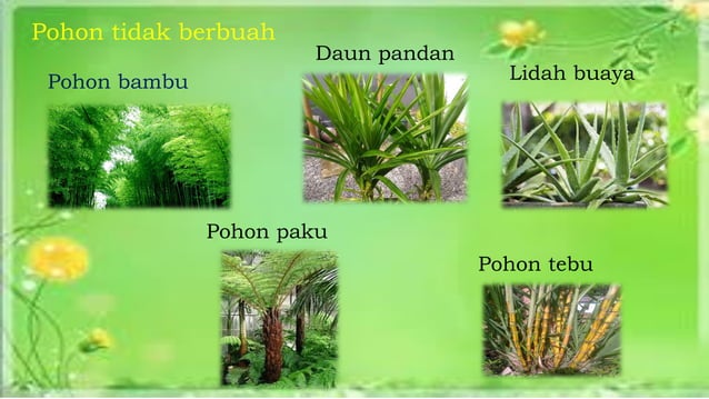 Tanaman berbuah dan tidak berbuah | PDF