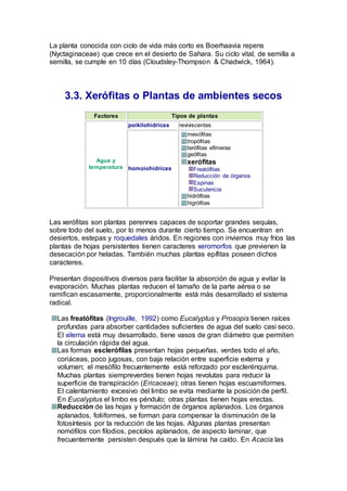 Tema 3 | DOCX