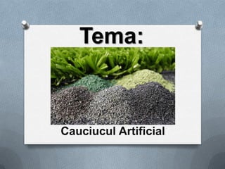 Cauciucul | PPTX
