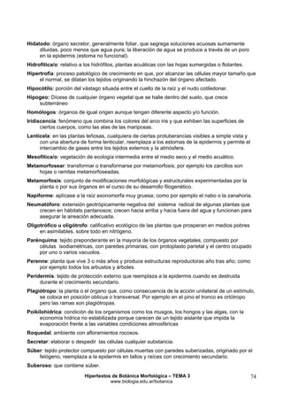 Tema3-Flor - Hipertextos de Botánica Morfológica www.biologia.edu.ar