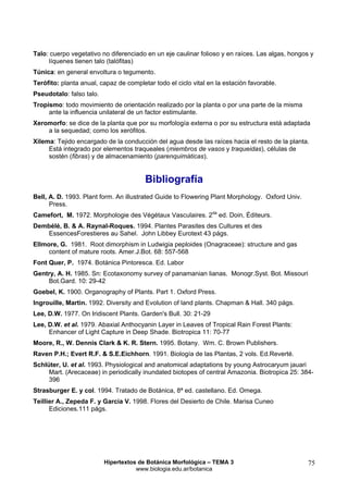 Tema3-Flor - Hipertextos de Botánica Morfológica www.biologia.edu.ar