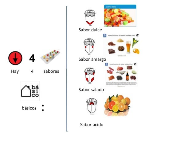 Tema 3.nuestros sentidos