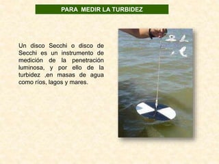 Tema 3. los ecosistemas | PPT