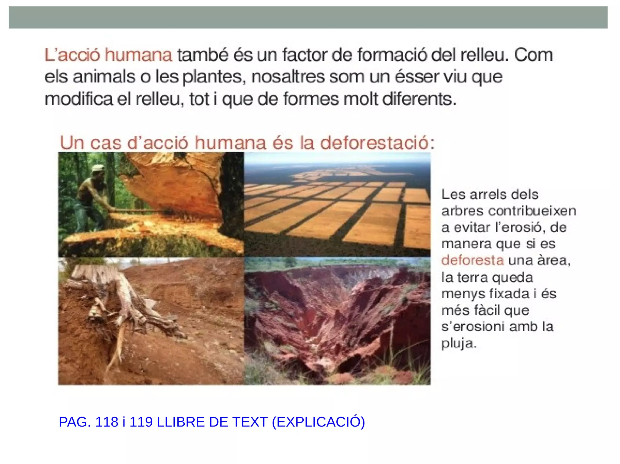 Tema 3.- LES FORMES DE LA TERRA | PPT