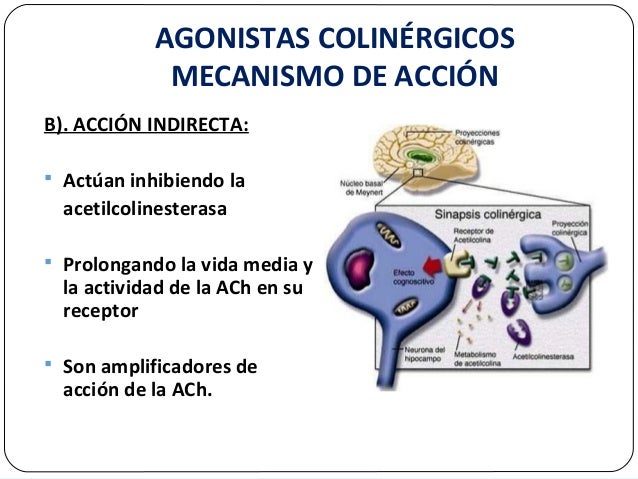 Tema 3.agonistas colinérgicos,rev,hoy