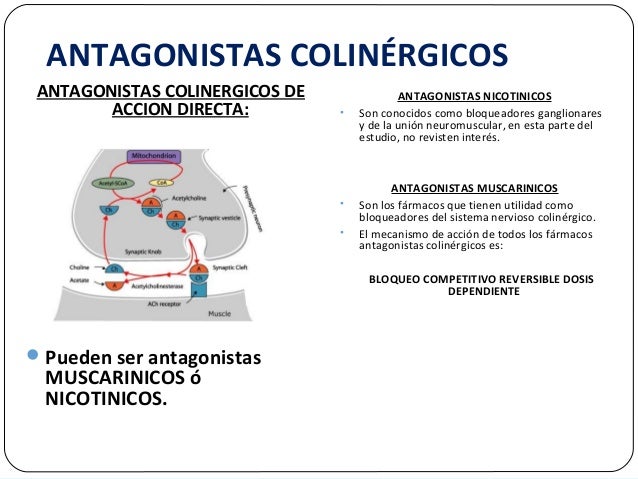 Tema 3.agonistas colinérgicos,rev,hoy