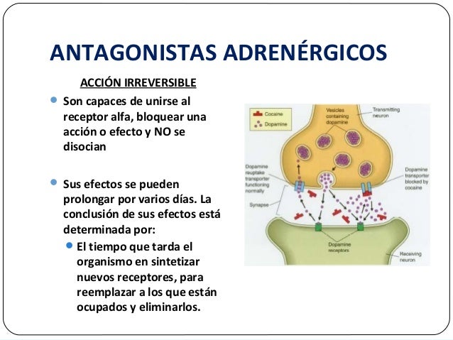 Tema 3.agonistas colinérgicos,rev,hoy