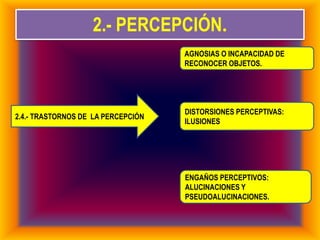 Tema 3. procesos cognitivos basicos.- sensacion, percepcion y memoria ...